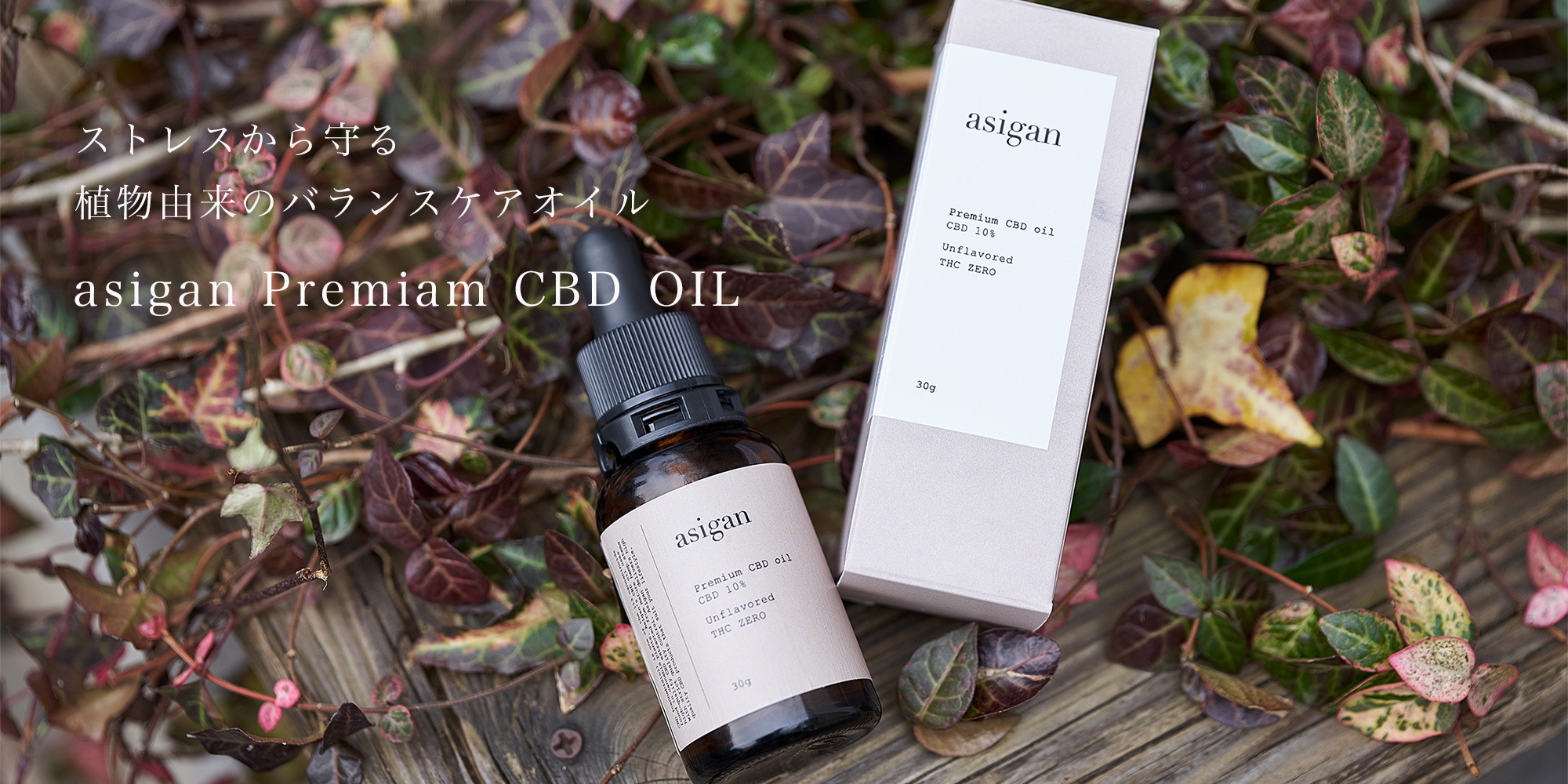 asigan（アシガン）